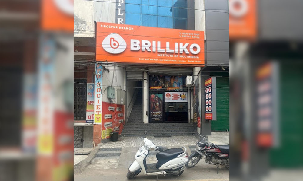 Explore Creativity with Brilliko's Branches