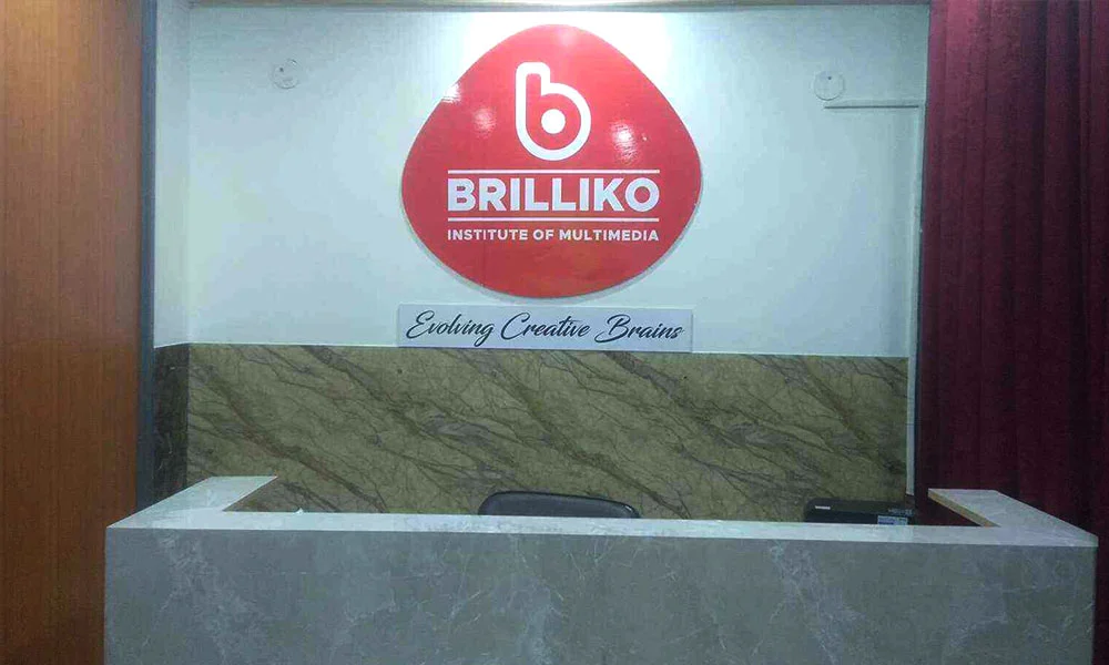 Explore Creativity with Brilliko's Branches